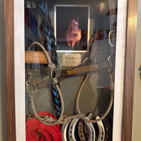 Horse Memorial Shadow Box | Custom Halter Keepsake Frame With Photo ...