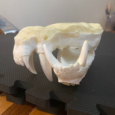 Werewolf Wolf Jaws Teeth Mask Costume Fursuit - Etsy