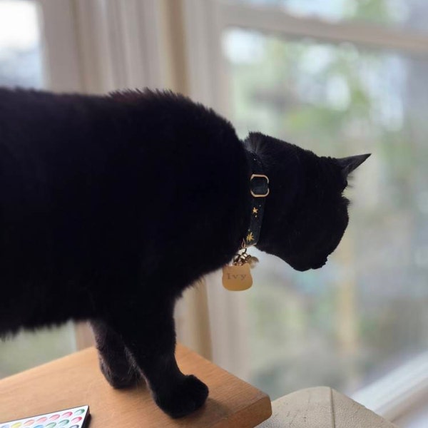 Personalized Velvet Cat Collar Leash Set, Engraved Kitties Collar Leash ...