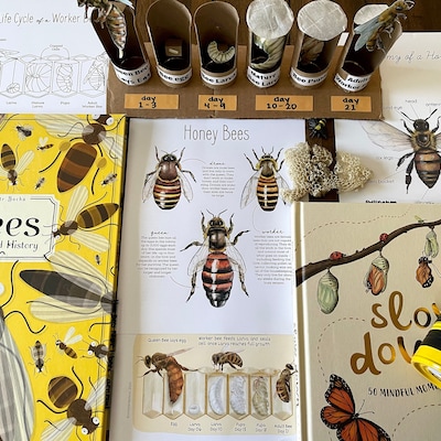 The GARDEN Notebook Homeschool Printable Nature Study Charlotte Mason ...