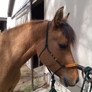 Rope Halter & Mecates Natural Horsemanship Hackamore 21 - Etsy