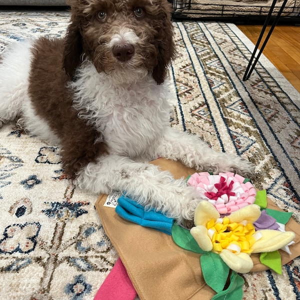 Bouquet Snuffle Mat-dog Toy, Pet Toy, Interactive, Mental Exercise, Pet ...