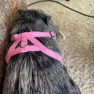 Cotton Mini Pig Harness You Choose Fabric - Etsy