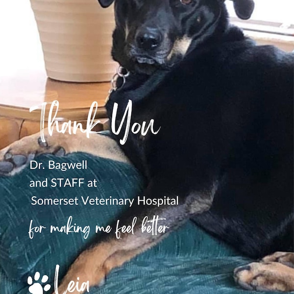 Thank You Card to Veterinarian Template, Dogs, Puppy, Gratitude, Animal ...