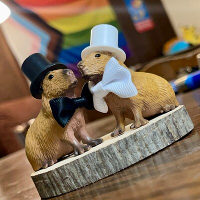 Capybara Cake Topper Cake Topper Party Decoration Party Animal Party ...