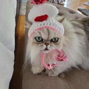 Valentines Day Hat for Cats, Heart Cat Hat, Valentines Day Cat ...