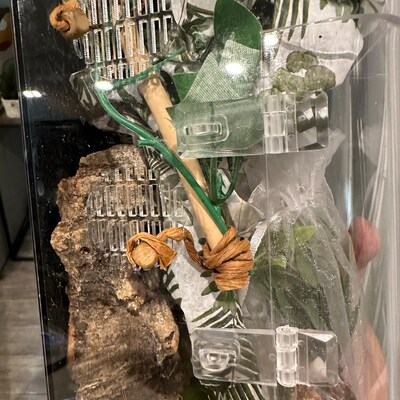 Mini Beach Scene in Clam Shell Mini Ocean Scene Sea Turtle - Etsy