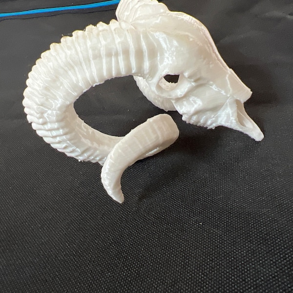 100 Animal Skeletons and Skulls - Stl Printable - Etsy