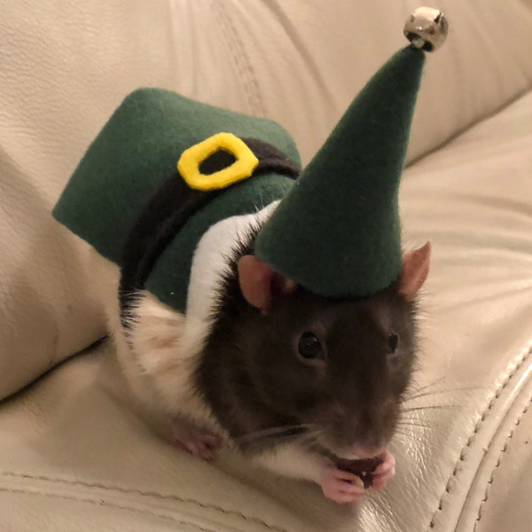 Elf Costume, Pet Costume for Rats, Santa Helper Rat - Available in Red ...
