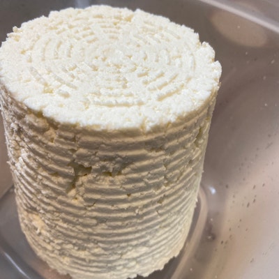 Cheese Curds poutine and Halloumi Kit U MAIN Cheese Making Kits - Etsy