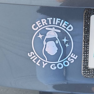 Certified Silly Goose on Board Holographic Bumper Car Window Transfer ...