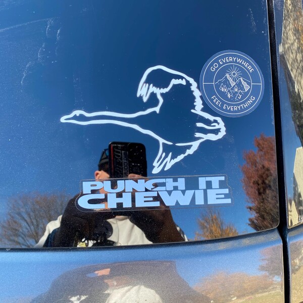 DMB Tie Dye Vinyl Decal | 12 Tie Dye Color Options | 1.5" X 4.0" - Etsy