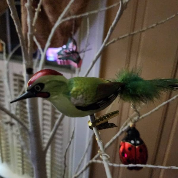 Miniature Robin - Etsy