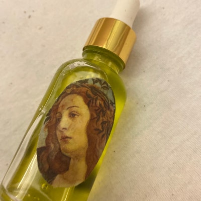 The Birth of Venus Scallop Shell Earrings - Etsy