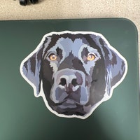 Pothos SVG File Digital Download for Cricut Silhouette Etc. - Etsy Canada