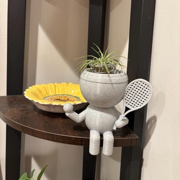 Wee Jimmy Dino Rider Dinosaur Brachiosaurus Diplodocus Succulent Plant ...