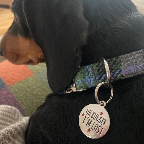 Oh Bugger I'm Lost Dog Tag - Etsy