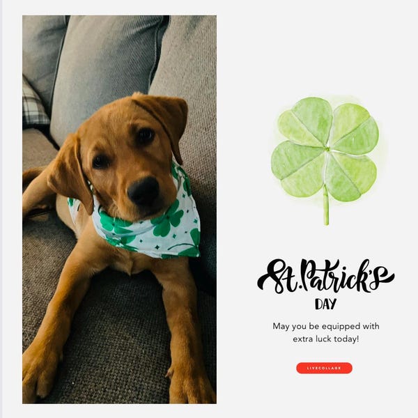 Fox Red Labrador Fathers Day Card - Etsy