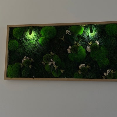 Beautiful Preserved Moss Artwork With LED Lights Live Moss LED Wall Art ...