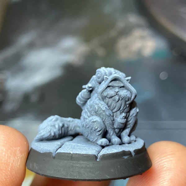 Mage Cat Companion Miniature Persian Cat Animal Dungeons and Dragons ...