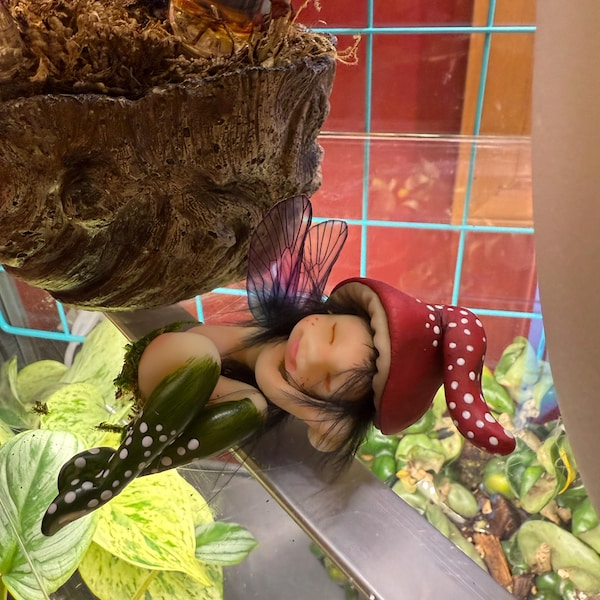 Baby Dragon, Small Female Dragon, Cold Porcelain Figurine, Cute Dragon, Collectible, White and ...