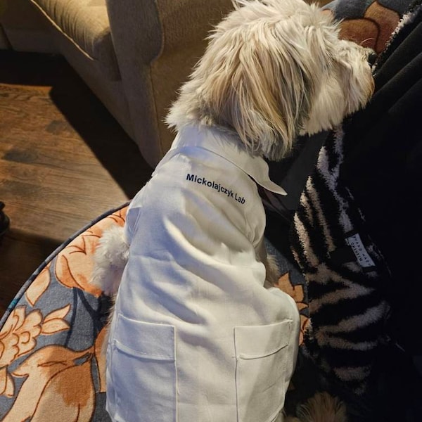 Dog White Coat, Pet White Coat, Dog Costume, Pet Costume, Dog Lab Coat ...