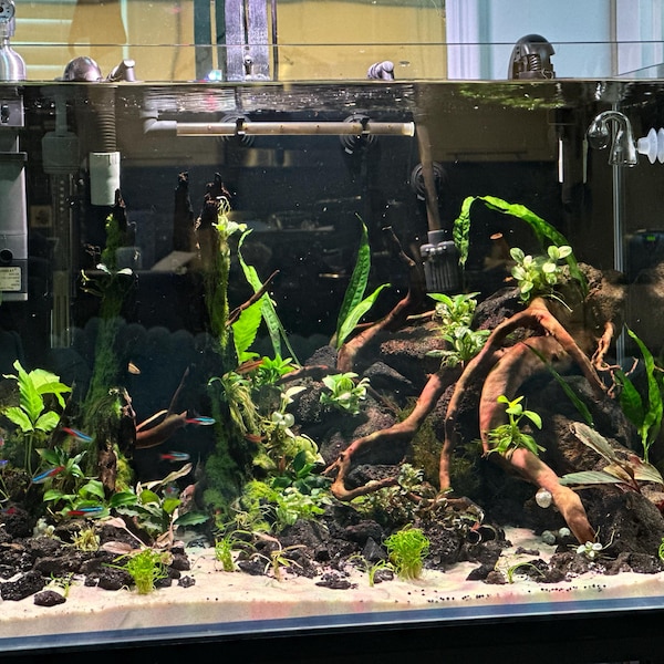 Mini Aquarium Rocks and Stones,aquarium Decor,aquascape,aquascaping ...