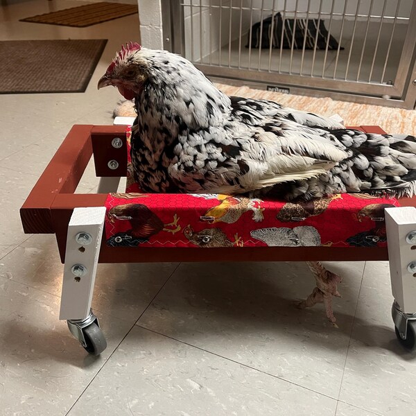 Amish Chicknic Table - A Picnic Table for Chickens - Etsy