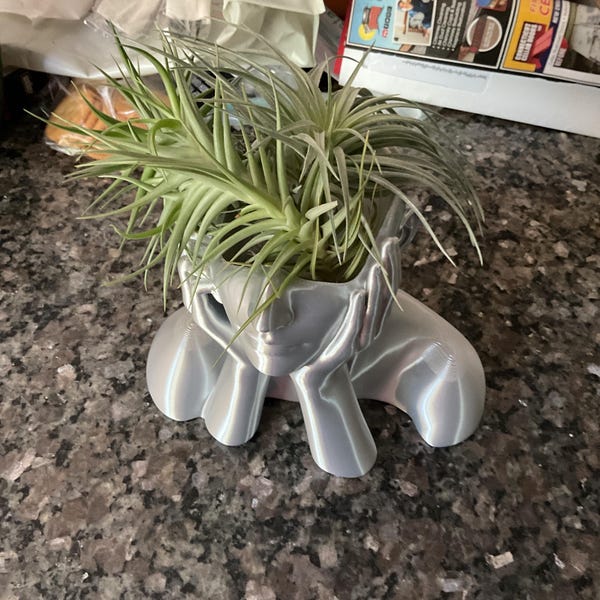 Ballerina Vase, Ballet Flower Pot, Shoe Planter, Succulent, Cacti, Air ...