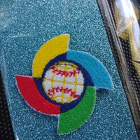 Kanto Gym Badge Patch - Etsy