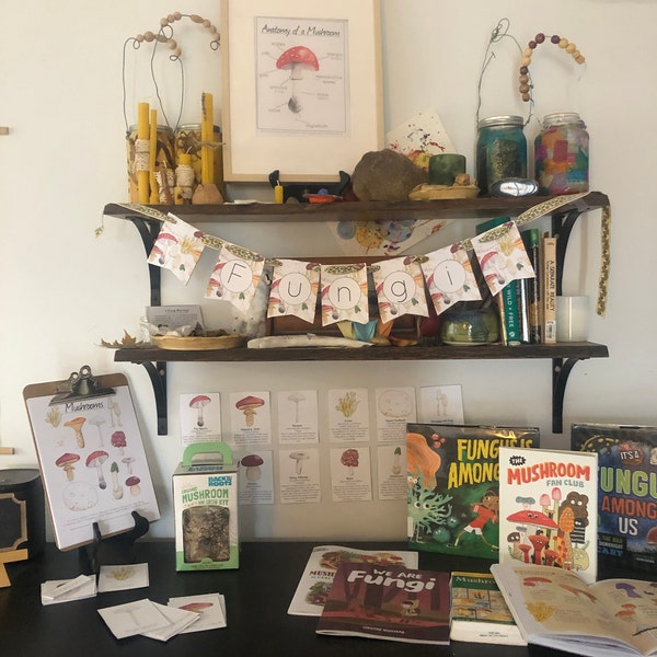 Tree Studies Bundle | Nature Study, Charlotte Mason, Homeschool ...