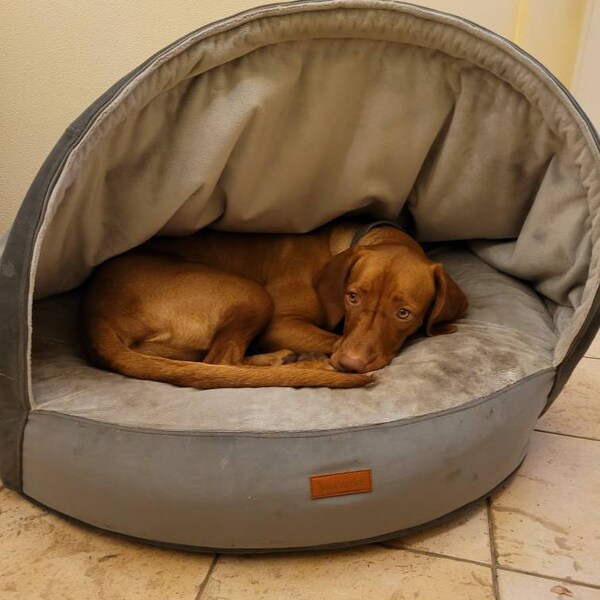 Cozy Cave Bed for Dog, Snuggle Bed, Cave Bed, Dog Bed, Psia Norka ...