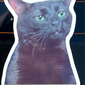 Dissociating Sticker, Zoning Out Black Cat Meme, Dissociative Sticker ...