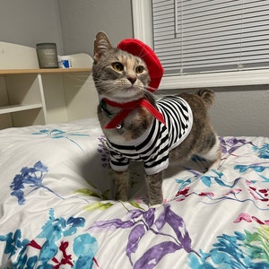 Complete French Cat Outfit Cat Beret Ascot and Striped Shirt - Etsy