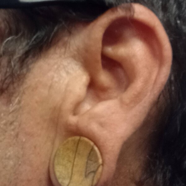 Areng Wood Double Flare Tunnel With Rangas Wood Inlay Wooden Ear ...