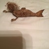 Sea Fairy Feejee Fiji Mermaid Sideshow Gaff Freak - Etsy