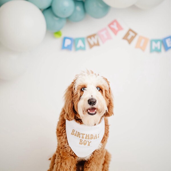 The Big ONE Shirt, Surfer Themed Party, Wave, First Birthday, Bday Boy ...