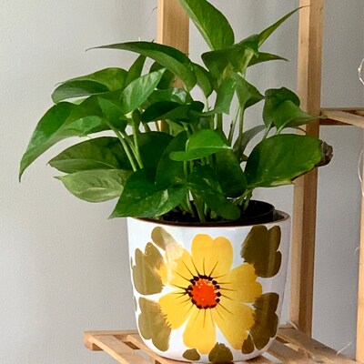 Studio Pottery Jar With Cork Stopper Blue Vintage 1978 Janice Rowell ...