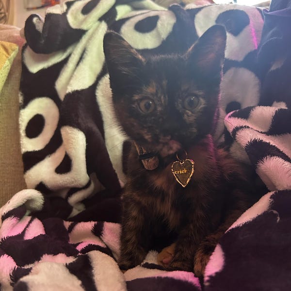 Custom Small Heart Tags | Personalized Resin Pet ID Tags, Dog Tags, Cat ...