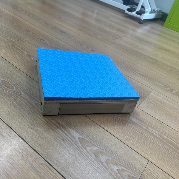 Dog Training Pivot Box and Place Board 2 Piece Bundle for Dog Agility ...