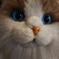 SEEU & Chongker He Hua Super Lifelike Plush Panda Dollpanda Fans Can't ...