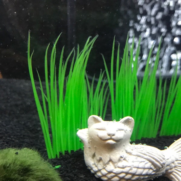 Mercat Zen Mini Katfish Cat Mermaid Bonsai Terrarium Statues - Etsy