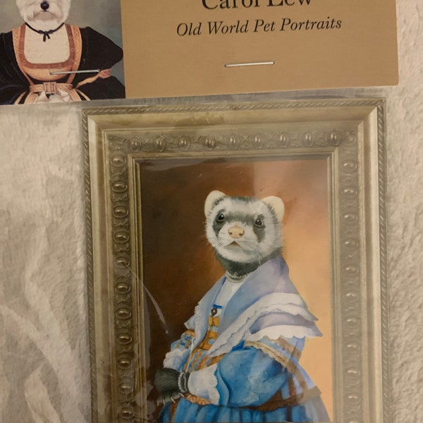 Ferret, Ferret Magnet, Refrigerator Magnet, Magnet, Ferret Clothes ...