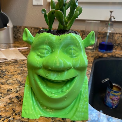 Shrek Planter - Etsy