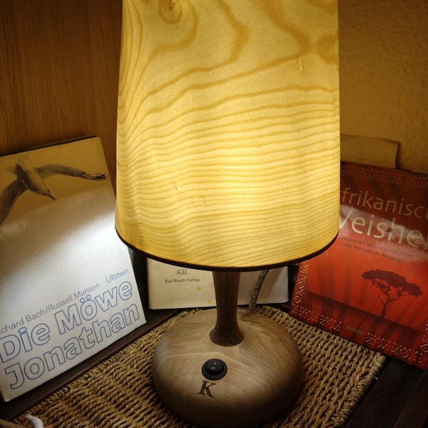 Ski Holder for Ebike and Fatbikes | Transport Skis on Bike | Ski Rack ...