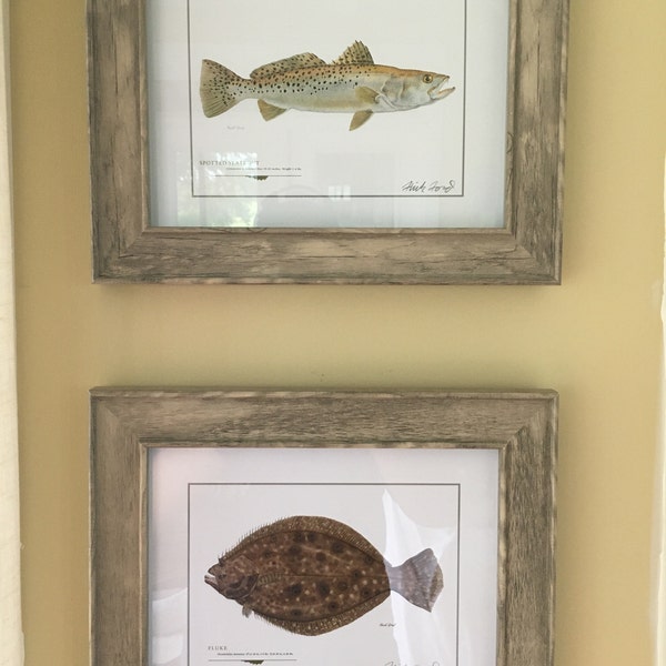 Smallmouth Bass Open Edition Print by Flick Ford, Warm Water Gamefish ...