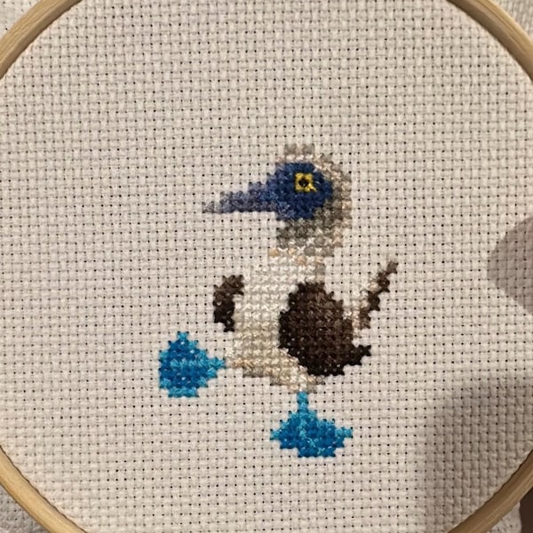 Blue-footed Booby Cross Stitch Pattern PDF Bundle - Set of 3 Blue ...