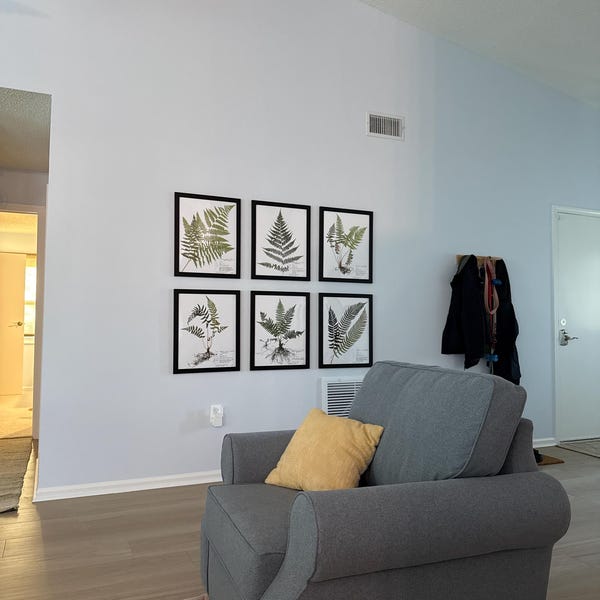Fern Print Set of 6; Pressed Fern Gallery Wall Scientific Decor for ...