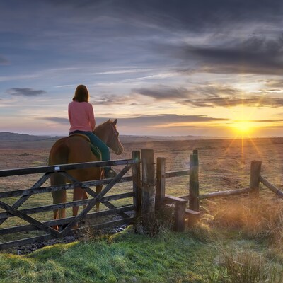 Digital Background, Photo Overlays, Background Replacement, Photography ...