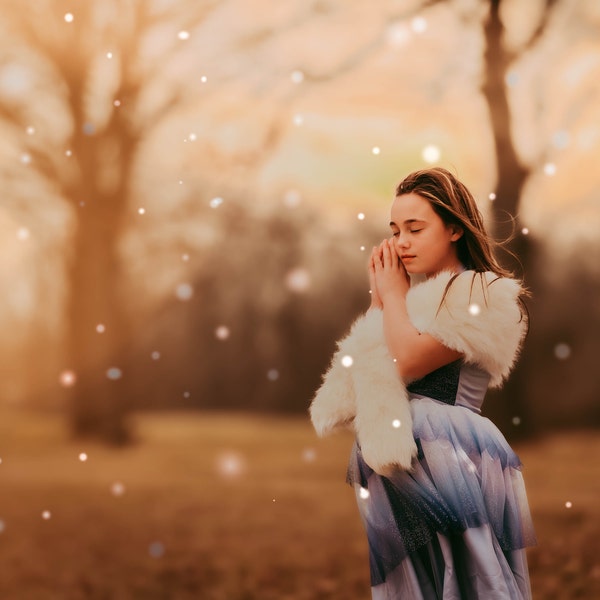 Realistic Snow Overlay for LIGHTROOM- Snow Presets- Add Snow in ...
